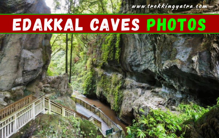 Edakkal Caves Photos: 15 Stunning Images & Powerful Travel Guide