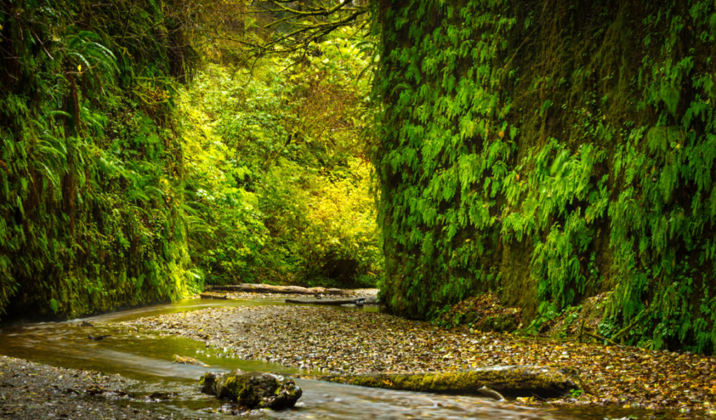 Best Winter Hikes in the USA in January (Easy & Scenic)